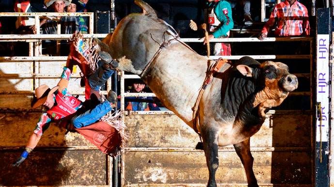 Maracaí Rodeio Fest: evento contará com circuito ACR BGB e narração de ...
