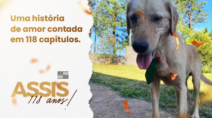 SOS Pets: uma história de amor pelos animais abandonados - Assiscity